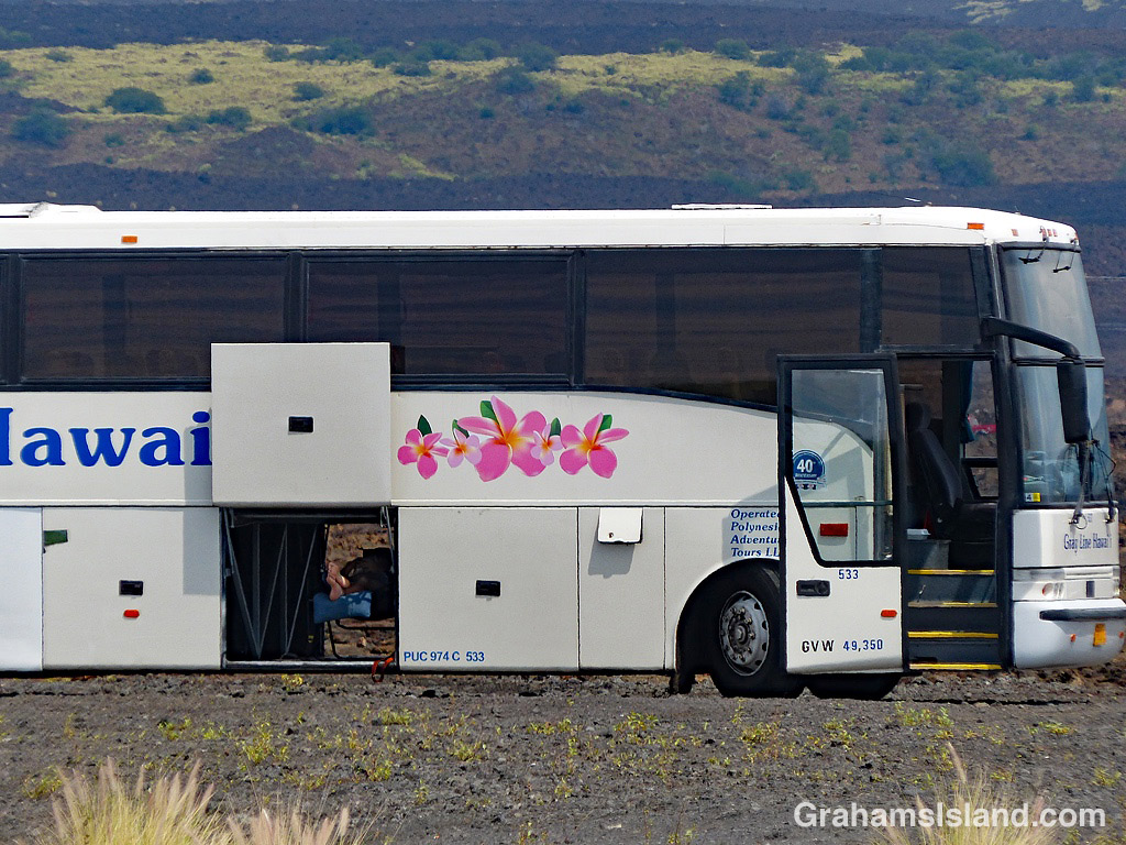 Resting bus driver | Graham's Island