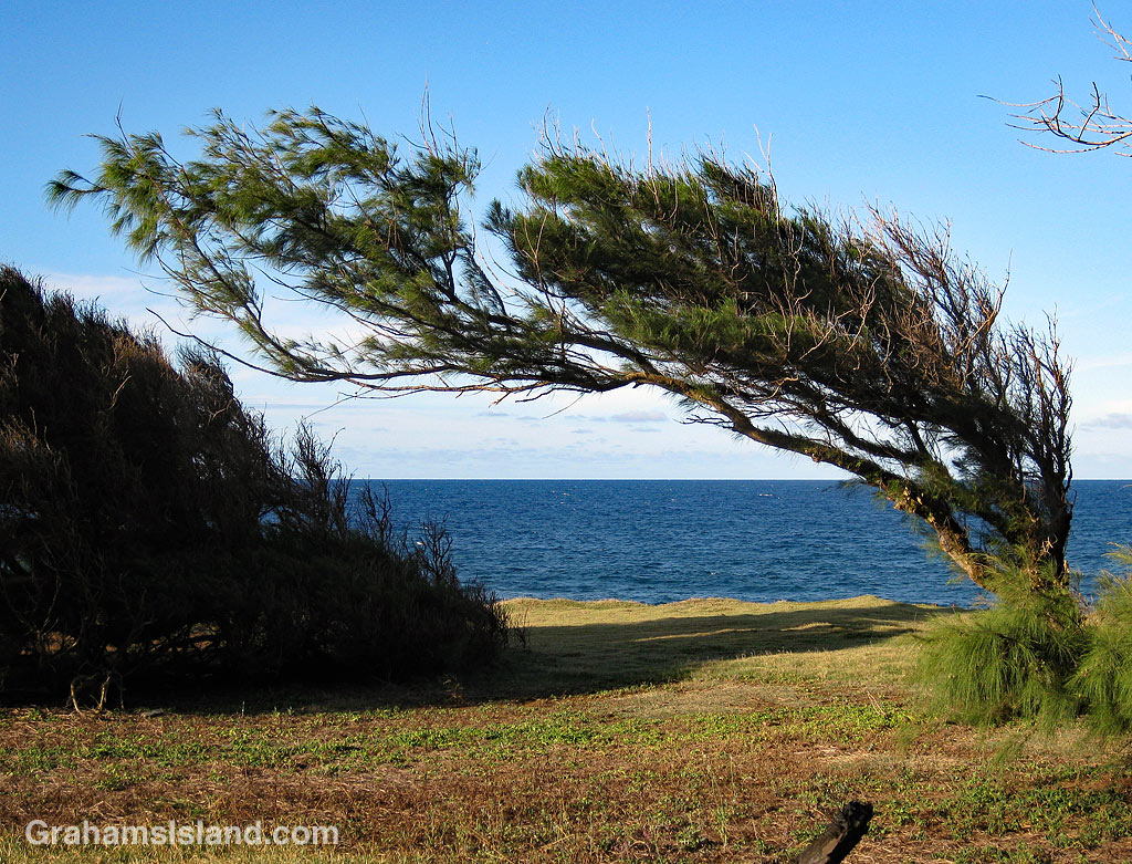 Is it windy here? | Graham's Island