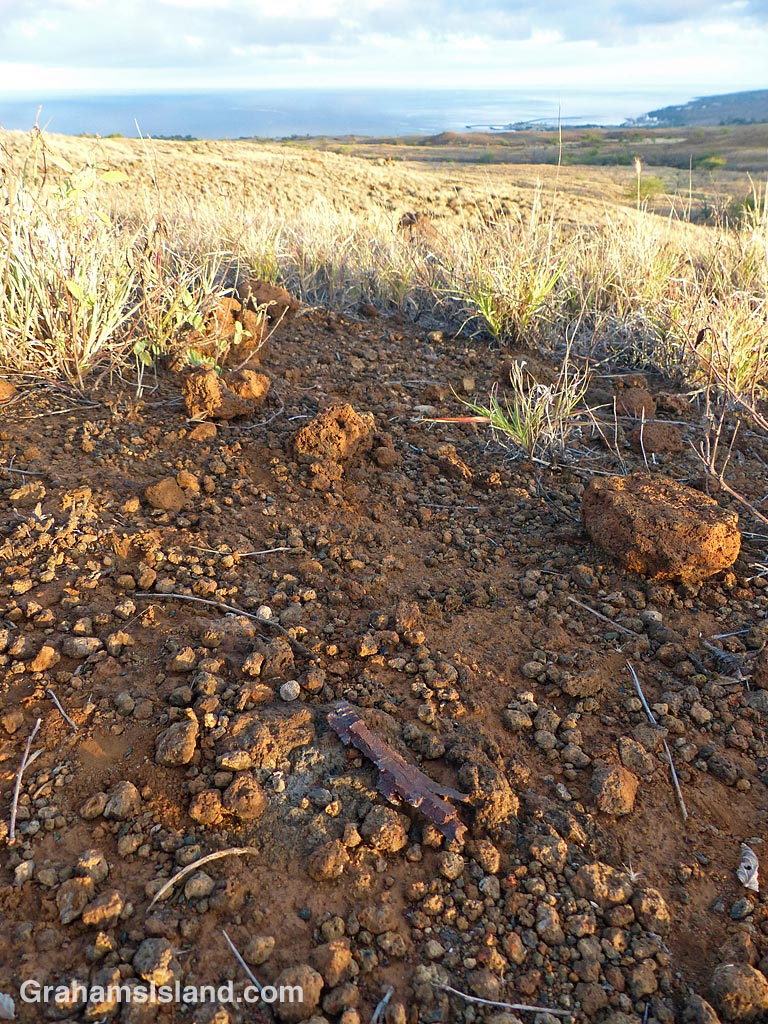 Shrapnel | Graham's Island