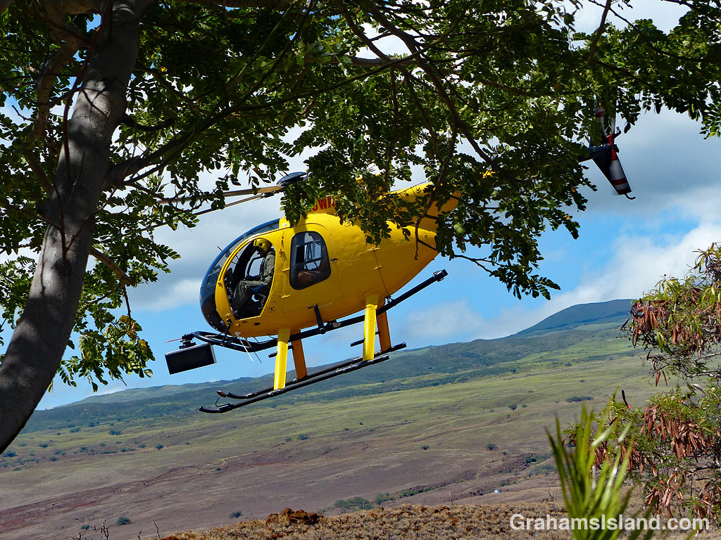 Survey helicopter | Graham's Island