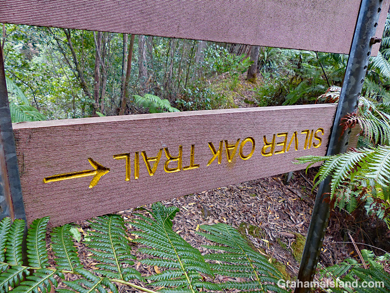 Signs: Practice makes perfect | Graham's Island