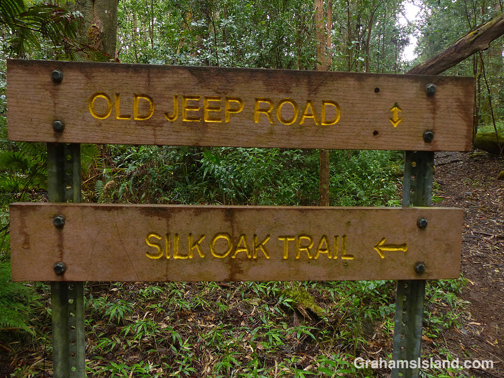 Signs: Practice makes perfect | Graham's Island