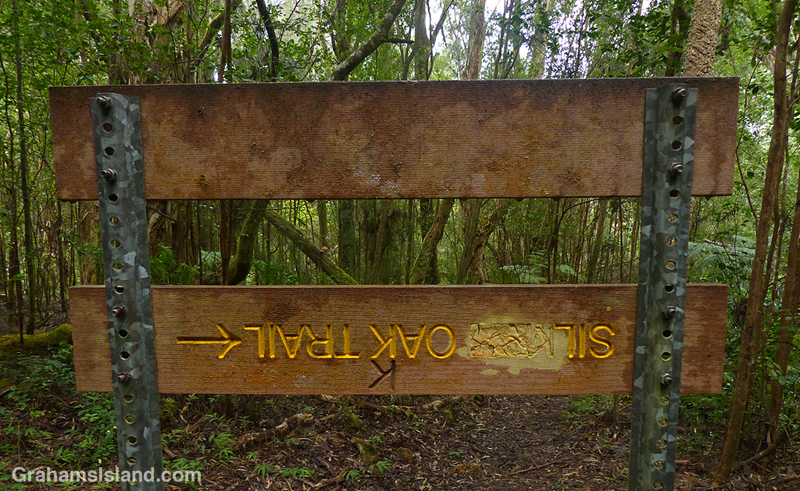 Signs: Practice makes perfect | Graham's Island