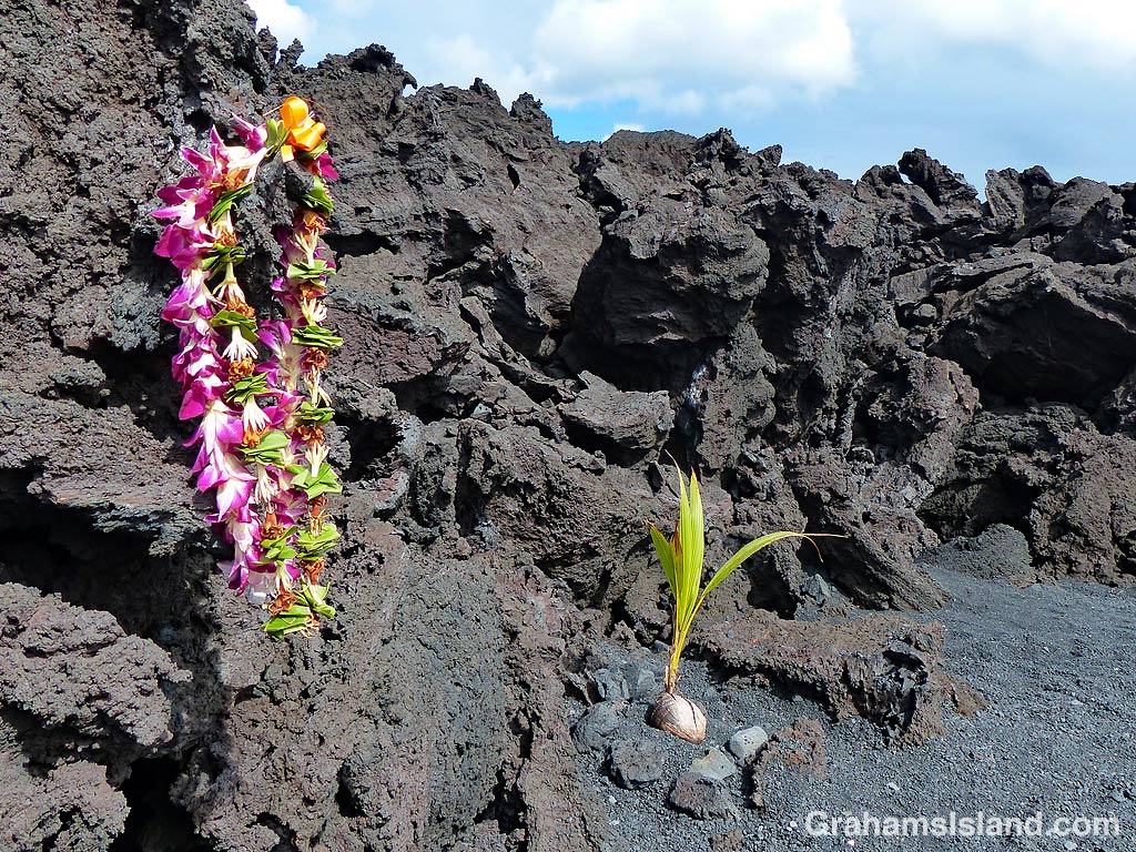 Pohoiki beach | Graham's Island