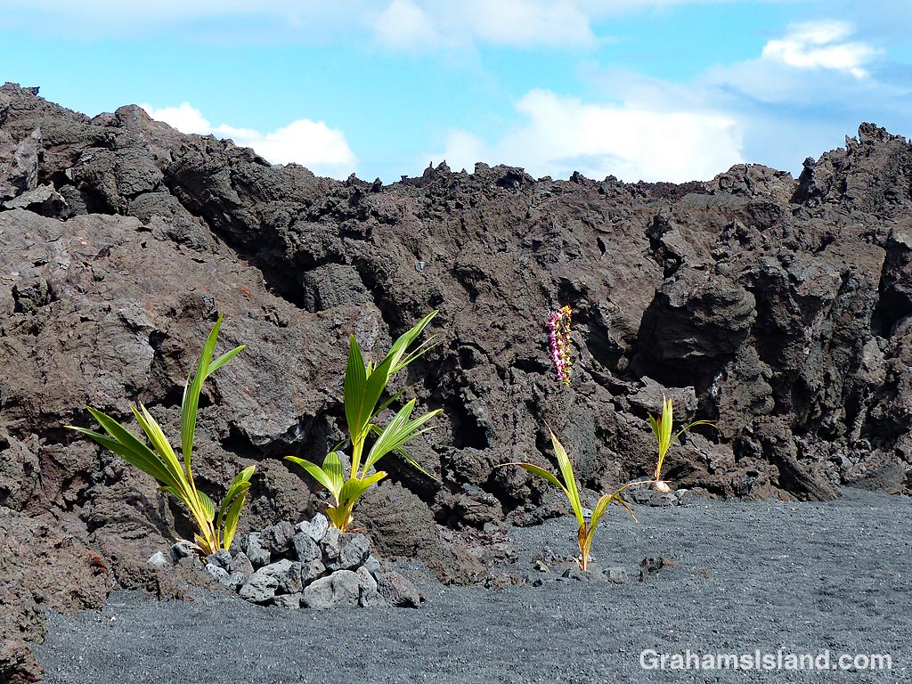Pohoiki beach | Graham's Island