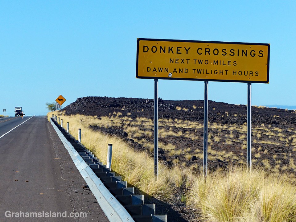 Signs: Donkey crossings | Graham's Island