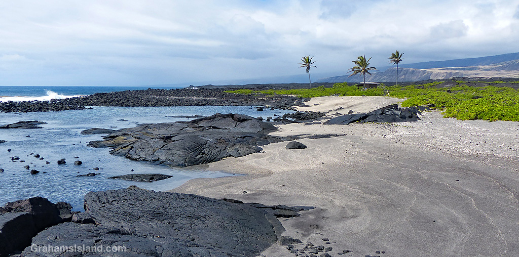 Puna Coast Trail: Apua Point | Graham's Island