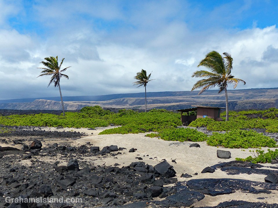 Puna Coast Trail: Apua Point | Graham's Island