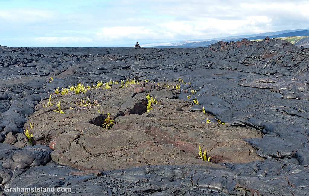 Lava in all its colors | Graham's Island