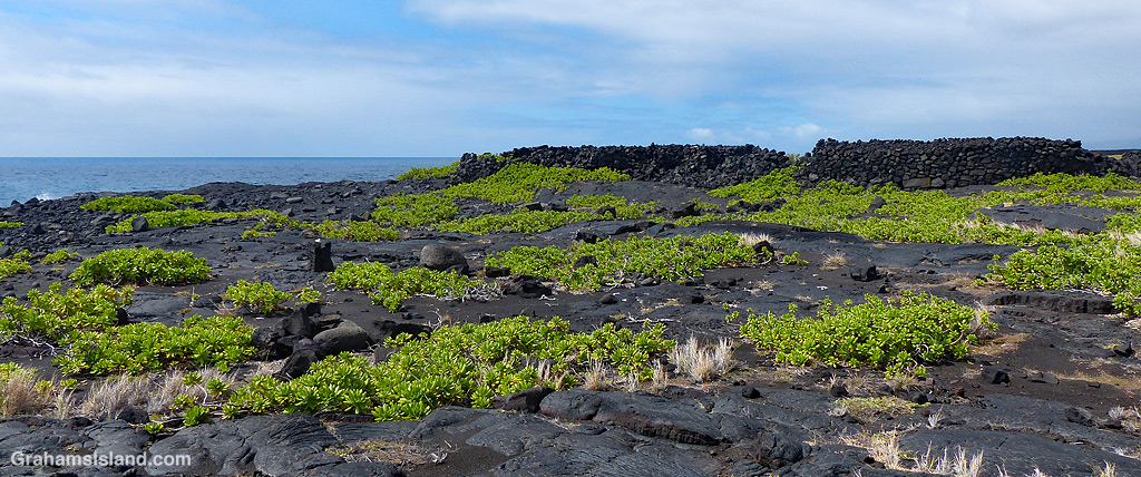 Puna Coast Trail: Along the coast | Graham's Island