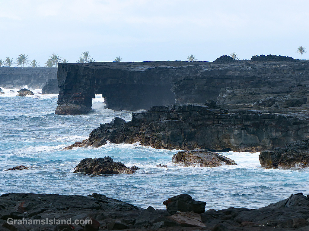 Puna Coast Trail: Along the coast | Graham's Island