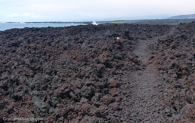 Puna Coast Trail: Apua Point | Graham's Island