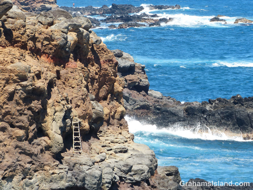 Cliff ladder | Graham's Island