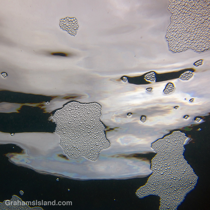Abstracts: Bubbles | Graham's Island