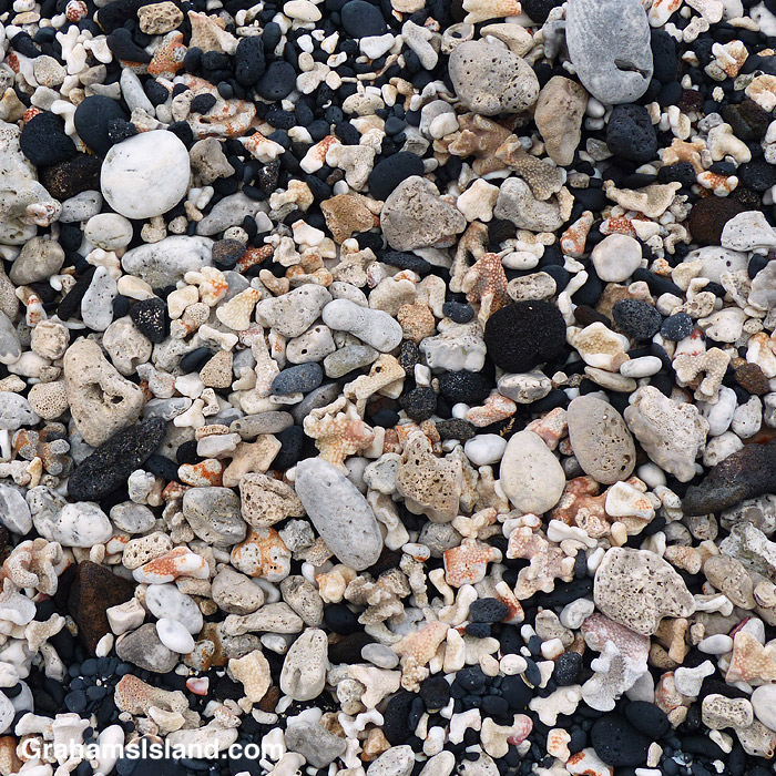 Abstracts: Beach formation | Graham's Island