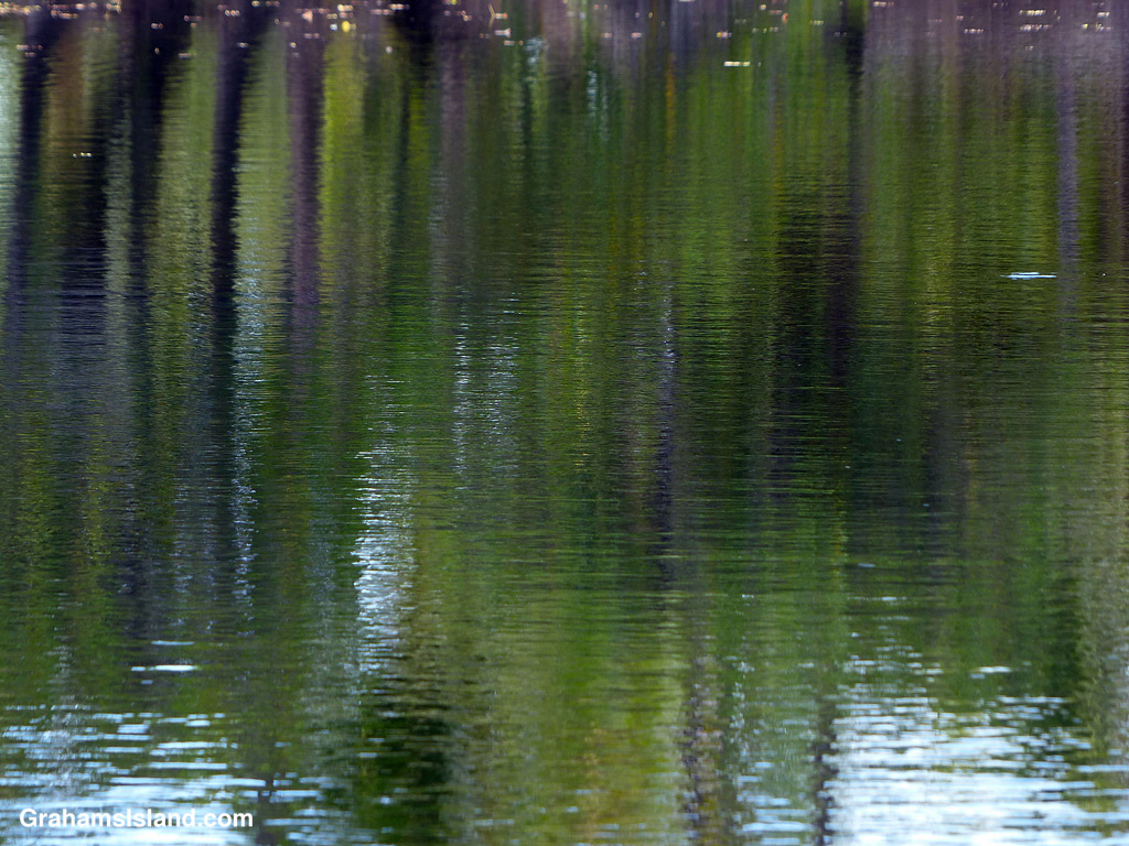The color of water | Graham's Island