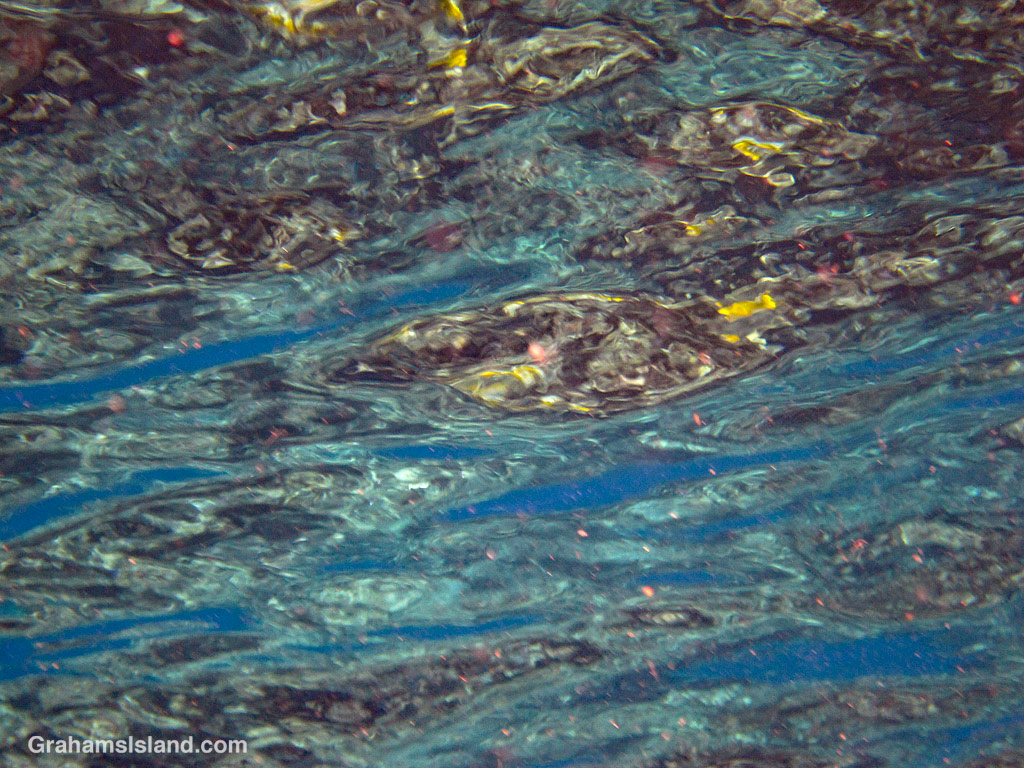 The color of water | Graham's Island