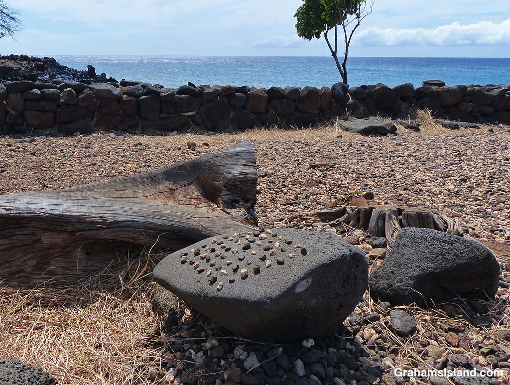 Konane game board | Graham's Island