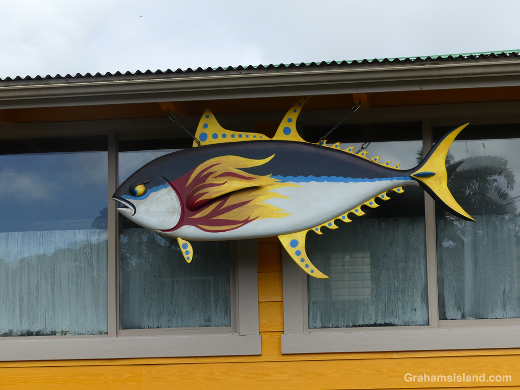 Angry fish | Graham's Island