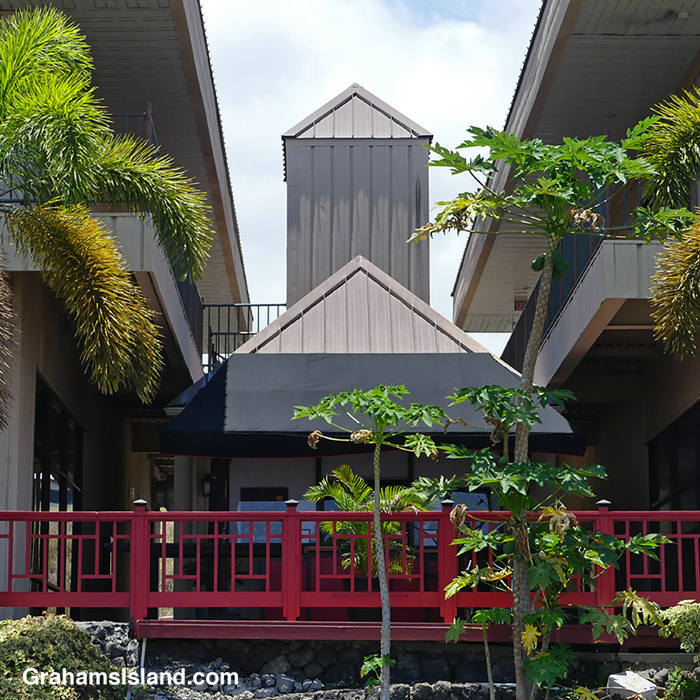 Red rail | Graham's Island