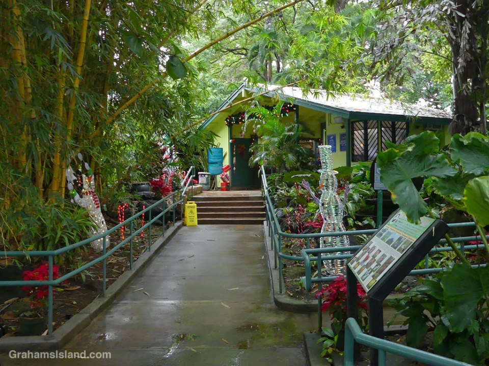 It’s beginning to look a lot like Christmas | Graham's Island